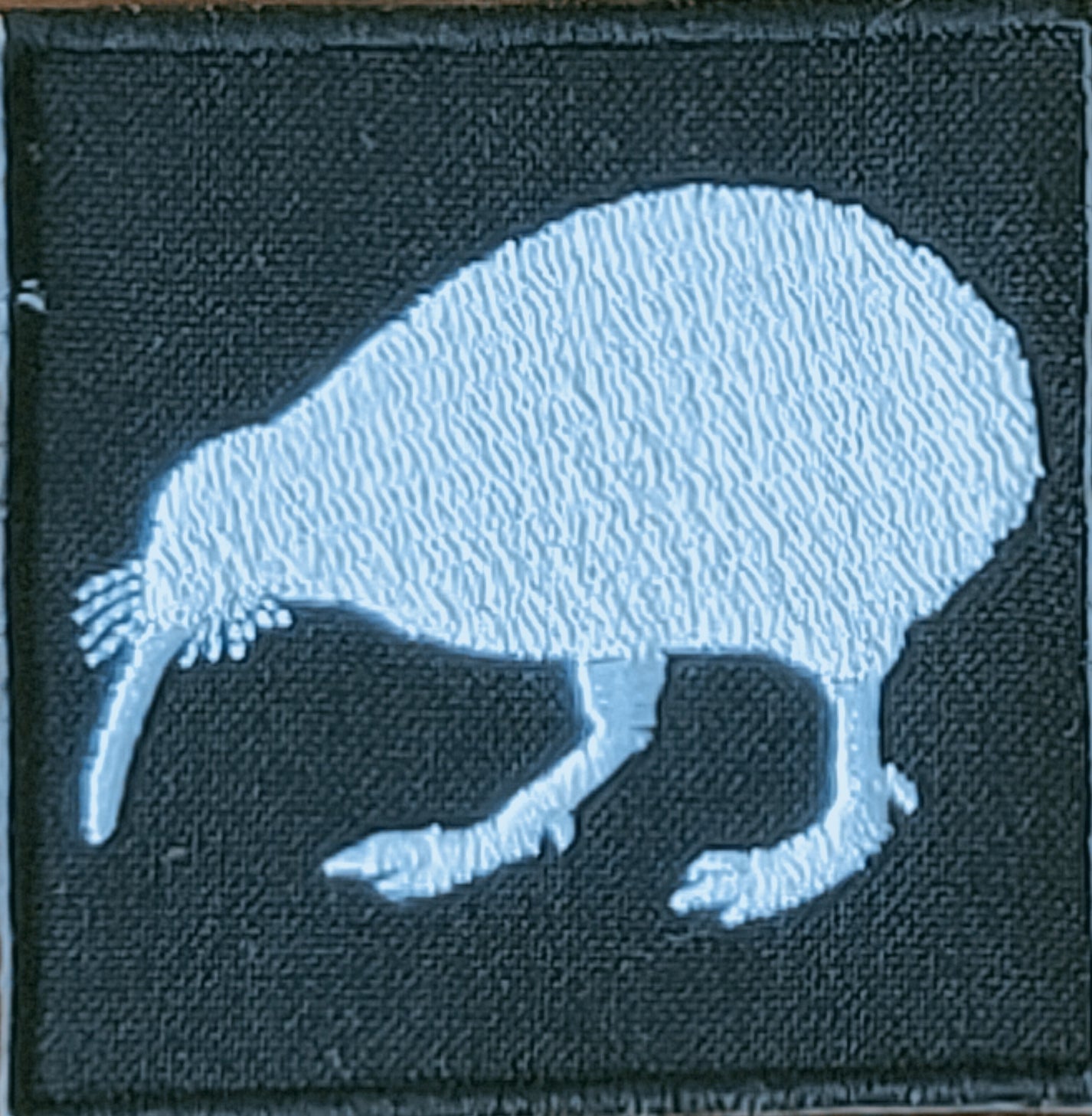 Kiwi patch – ACE Embroidery / Patches.co.nz